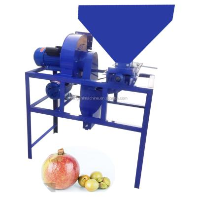 China Commercial Camellia seed shelling machine green tea fruit tung oil seed peeling and sorting machine for sale