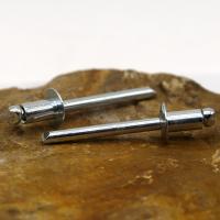 China Customized Stainless Steel Pull Rivet Cold Forging DIN ISO GB for sale