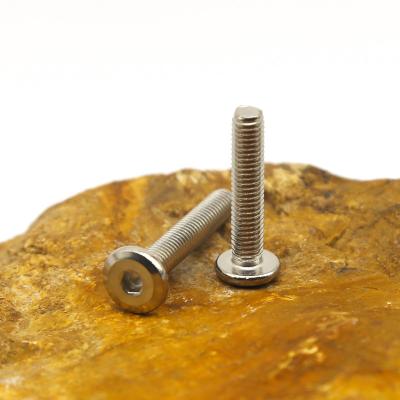 Cina Vetture a presa esessuale in acciaio inossidabile personalizzate Allen Screw in vendita