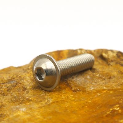 Cina Vetture a presa esessuale in acciaio inossidabile personalizzate Allen Screw in vendita