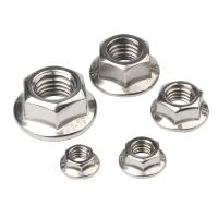 China Stainless Steel Nut  Screw Customization for sale