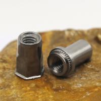 China Stainless Steel Nut  Screw Customization for sale