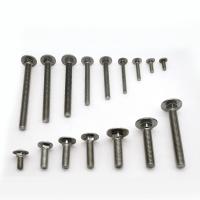 China Stainless steel carriage screws customized for sale