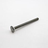 China Stainless steel carriage screws customized for sale