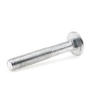 China Customized carriage screws for sale