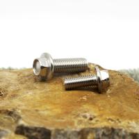China Stainless steel Hexagonal Flange Bolt for sale