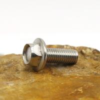 China Stainless steel Hexagonal Flange Bolt for sale
