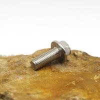 China Stainless steel Hexagonal Flange Bolt for sale