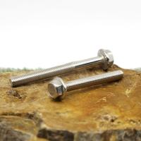 China Stainless steel Hexagonal Flange Bolt for sale