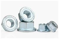 China Carbon steel Hexagonal Flange Nuts for sale