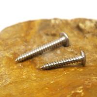 China Stainless steel self-tapping screws customized for sale