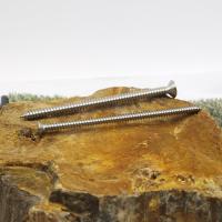 China Stainless steel self-tapping screws customized for sale