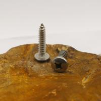 China Stainless steel self-tapping screws customized for sale