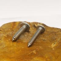 China Stainless steel self-tapping screws customized for sale