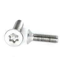 China Stainless Steel Flat Torx Head Screw for sale