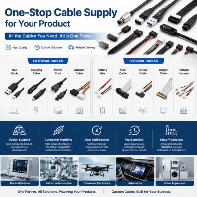 China Custom Cable Assembly End-to-End Supply USB Charging Power Cord PCB Sensor Display Battery Wire Harness for Electronics for sale