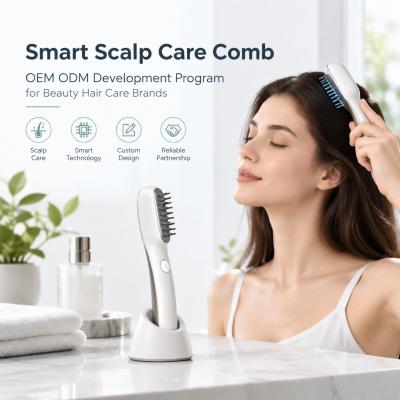 China Smart Scalp Care Comb OEM ODM Development Program for Beauty Hair Care Brands for sale