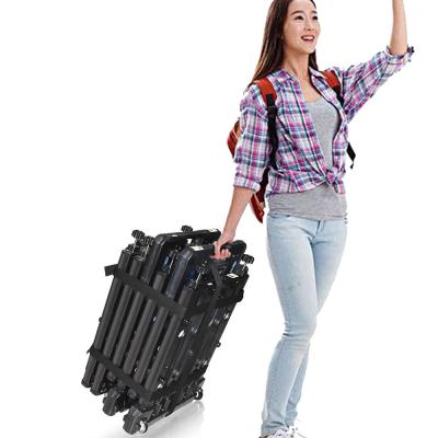 Cina Passeggiata portatile tramite il metal detector autodiagnostico con il grande touch screen in vendita
