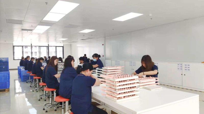 Fornecedor verificado da China - Rainbuvvy Co., Ltd.