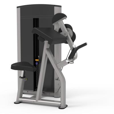 China Unisex Biceps Machine for Gym and Home Use Strength Training Equipment With Pin Load Selection for sale