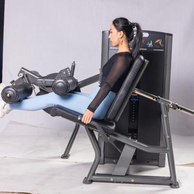 China Seated Pin-Loaded Leg Extension and Leg Curl Machine High-Performance Product for Fitness Training for sale