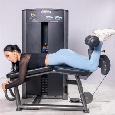 China Freeman Unisex Commercial Gym Equipment Pin Loaded Prone Leg Curl Machine for sale