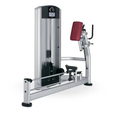 China Hot Selling High Quality Commercial Gym Equipment Kickback Glute Machine for sale