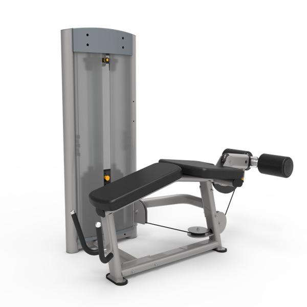Quality Steel Commercial Custom Prone Leg Curl Machine With Motion Adjustable Range for sale