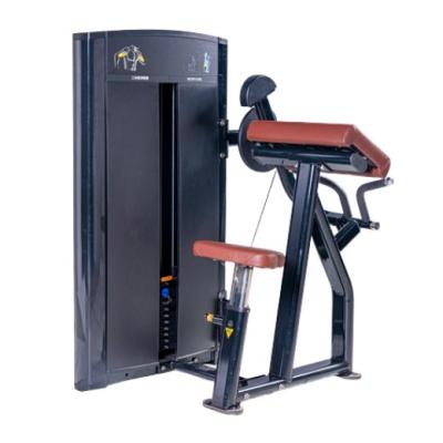 China Top Quality Biceps Machine Gym Use Commercial for sale