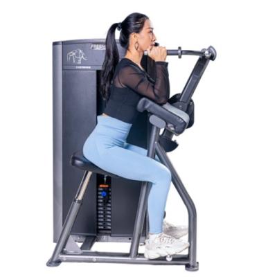 China TOP QUALITY Triceps Machine Tricep Comercial Gym Equipment for sale