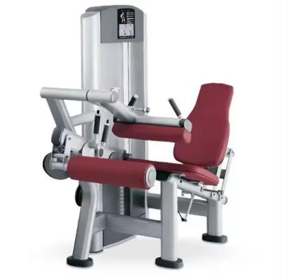 China Commercial Indoor Gym Equipment: Adjustable Seated Steel Pin Load Machine for Fitness  Body Building Training - Leg Curl Machine for sale
