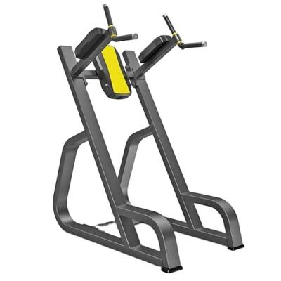 China Commercial Multi-Functional Vertical Kness UP/DIP Plate Loaded Machine for sale
