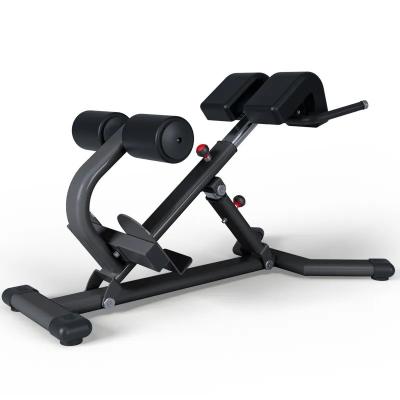 China Adjustable Back Extension Roman Chair Home Gym Strength Training Machine for Abdominals and Back Exercise Pin Load Selection for sale