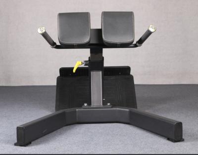 China Gym Fitness 45 Degree Back Extension Machine Roman Chair Gym Bench for Sale for sale