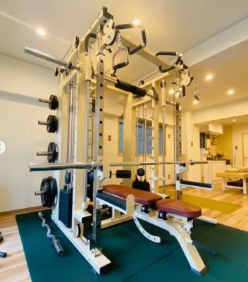 China All in One Smith Machine Multi Functional Trainer Gym Equipment Manufacturer for sale