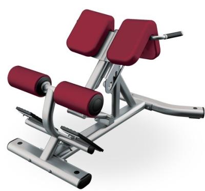 China Hot Selling Gym Fitness Exeserces 45 Degree Back Extension Machine Roman Chair for sale