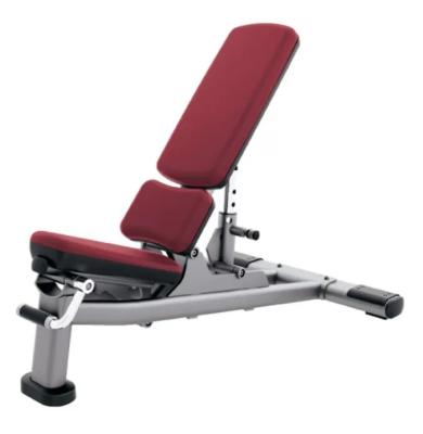 China Befreeman Wholesale Commercial Home Gym Machine Exercise Adjustable Bench for sale