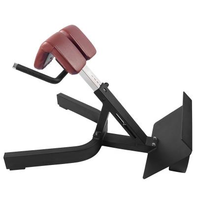 China Gym Equipment Roman Chair Abdominals Back Strength Training Adjustable Back Extension Bench for sale