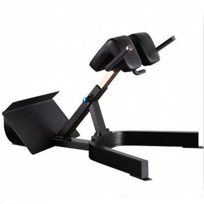 China Befreeman Hot Selling Gym Fitness Exeserces 45 Degree Back Extension Machine Roman Chair for Sale for sale