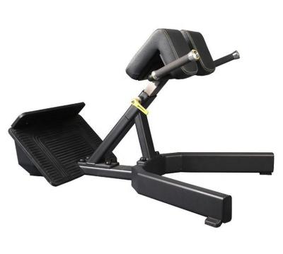 China High Quality 45 Degree Back Extension Roman Chair Bench Machine Fitness Equipment Back Extension Roman Chair for sale