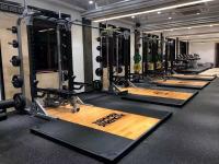 China Commercial Power Cage Squat Rack FRM2006 1300x1660x2310mm for Gym Strength Training for sale