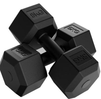 China Wholesale Home Gym Fitness Equipment High Quality Hex Rubber Coated Dumbbells Various 5kg 10kg 15kg 20kg 25kg 30kg 40kg Arm for sale