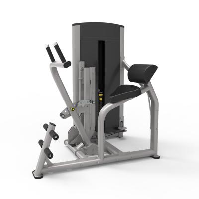China 2026 Dual Function Steel Gym Machine Back Extension Abdominal Trainer Commercial Gym Strength Training Core Muscle Building Indoor Fitness Freeman Equipment System for sale