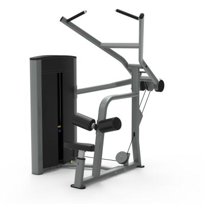 China 2026 Pin Loaded Seated Lat Machine Strength Training Commercial Gym Back Power Latissimus Building Upper Body Fitness Studio Freeman Equipment System for sale