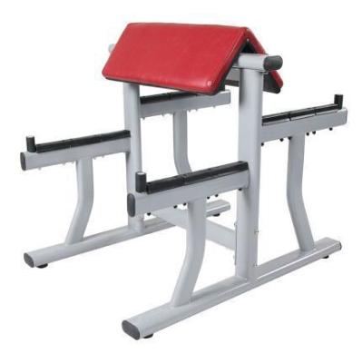 China 2026 Newest Gym Equip Fitness Arm Curl Bench Commercial Gym Fitness Equipment Preacher Curl Trainer For Biceps Strength Training Upper Body Workout Station for sale