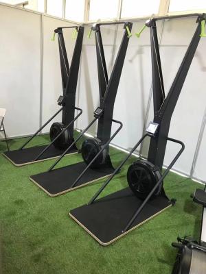 China Ski Simulator Machine Commercial Gym Full Body High Intensity Cardio Training Strength Endurance Fitness Equipment Freeman Machine for sale
