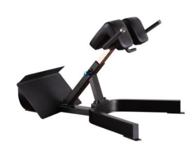 China Strength Training Upper Body Exercise Use Adjustable Roman Chair 45 Degree Back Extension Gym Bench Home Fitness Equipment for sale