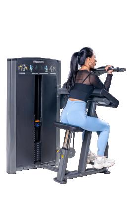 China Biceps Triceps Machine Gym Fitness Equipment Arm Strength Training for sale
