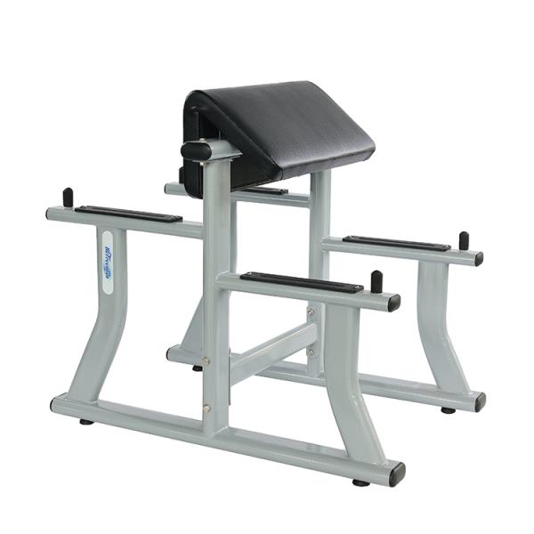 Quality 2026 Freeman High Quality Arm Curl Bench Hot Sale upper body training for sale