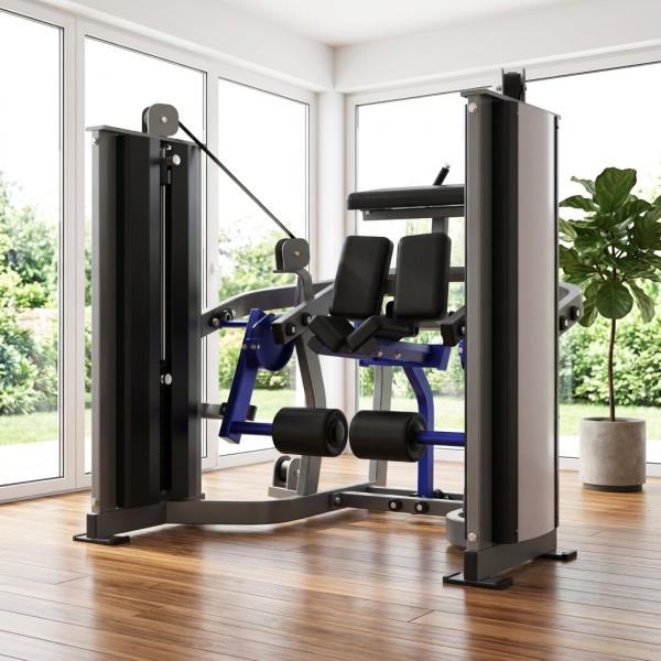 Quality Biomechanical Belt Transmission Kneel Leg Curl Isolated Hamstring Workout for sale